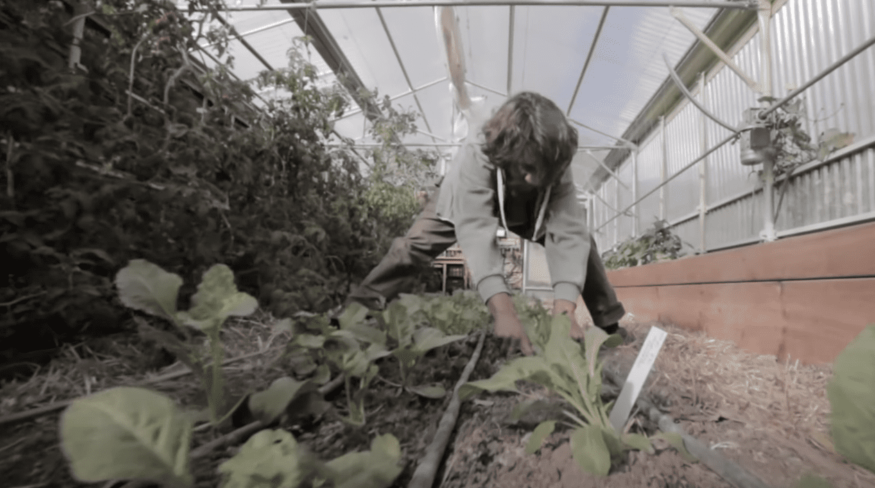 Circularity in action: circular economy role models of Greece | Impact Hub